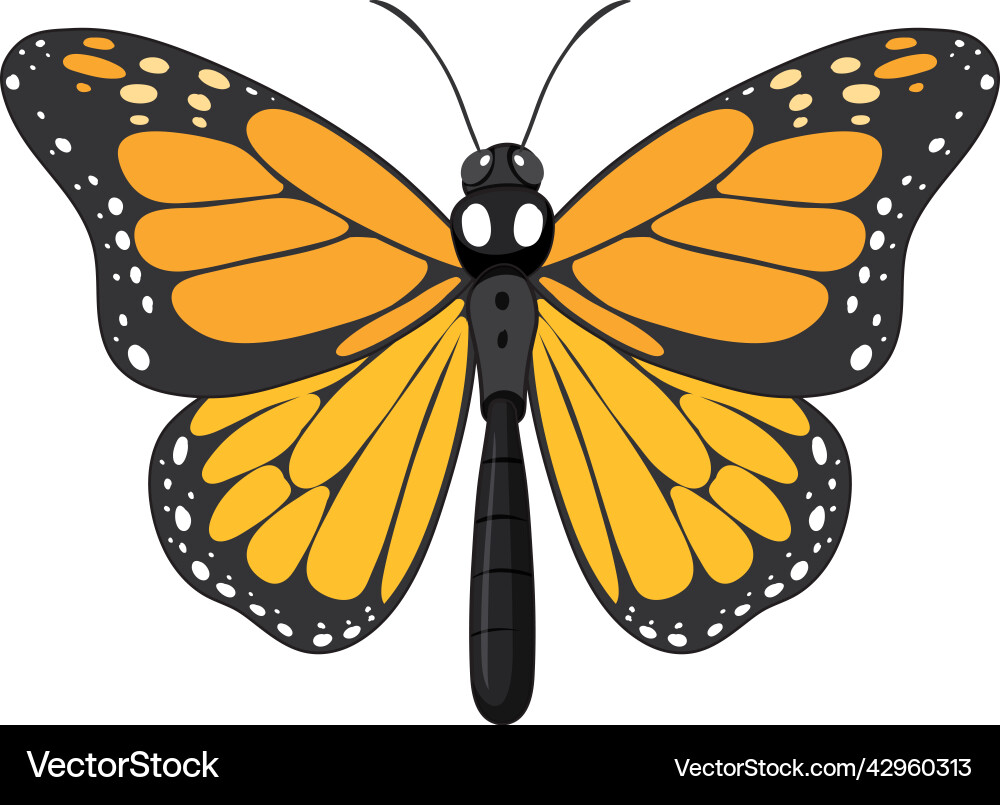 Monarch butterfly isolated on white background Vector Image