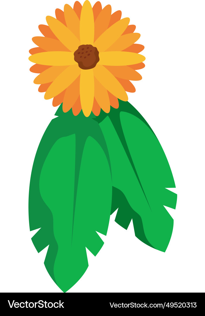 Vasant flower and leaf Royalty Free Vector Image
