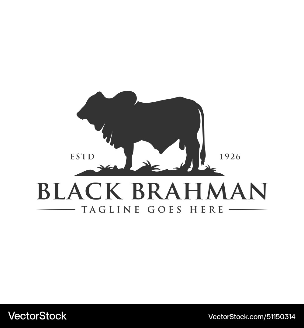Black Brahman Cow Logo - Farm Animal Royalty Free Vector