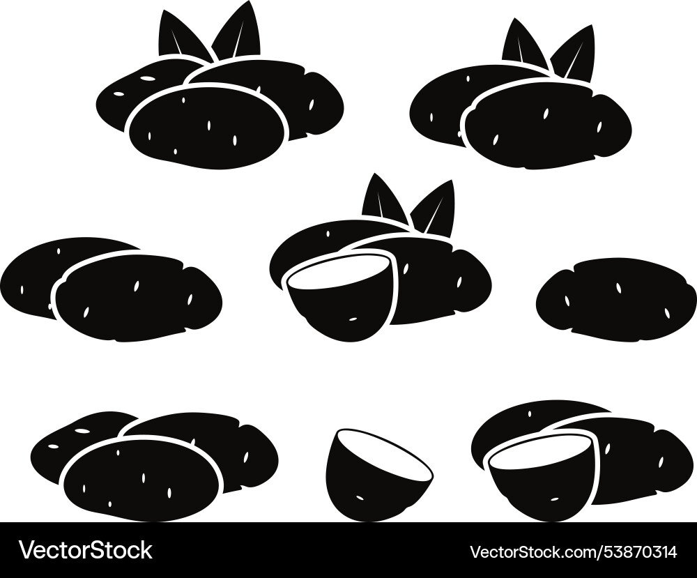 Potato Royalty Free Vector Image - VectorStock