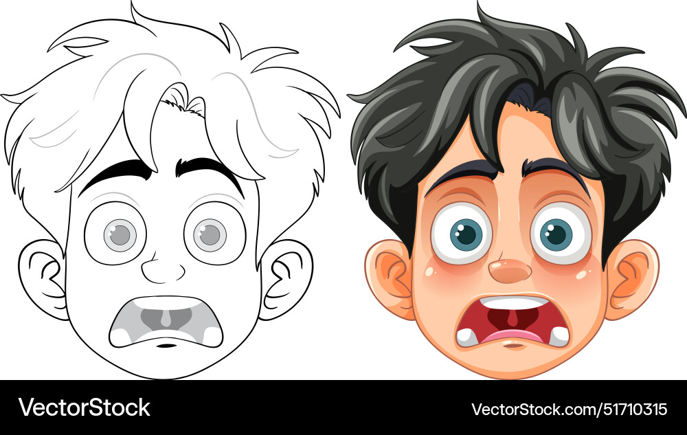 A shocked boys face Royalty Free Vector Image - VectorStock