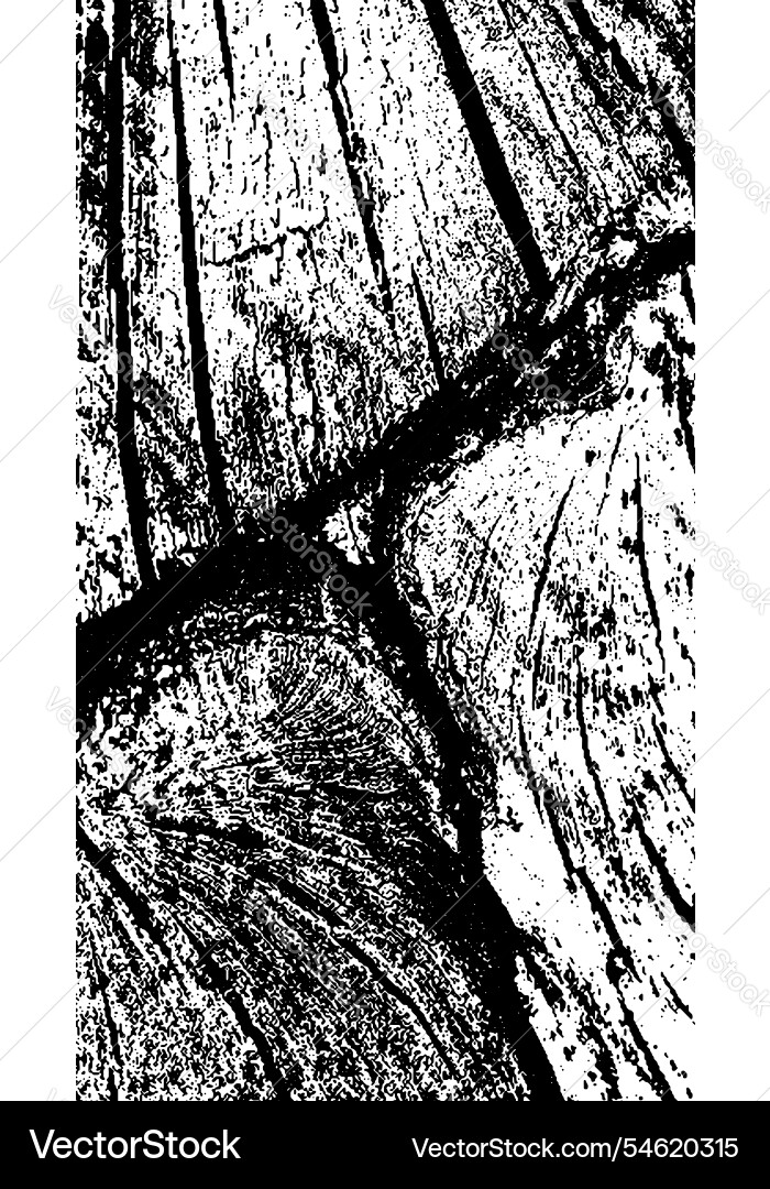 Black tree bark texture on a white Royalty Free Vector Image