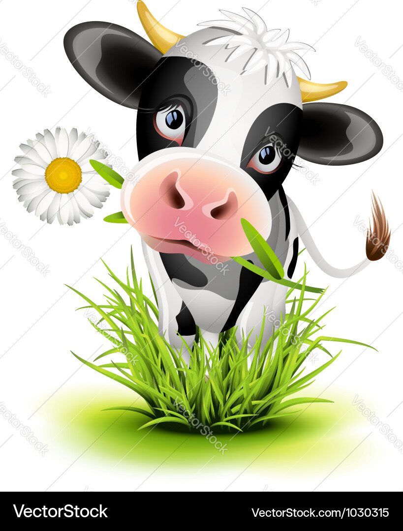 Little holstein cow Royalty Free Vector Image - VectorStock