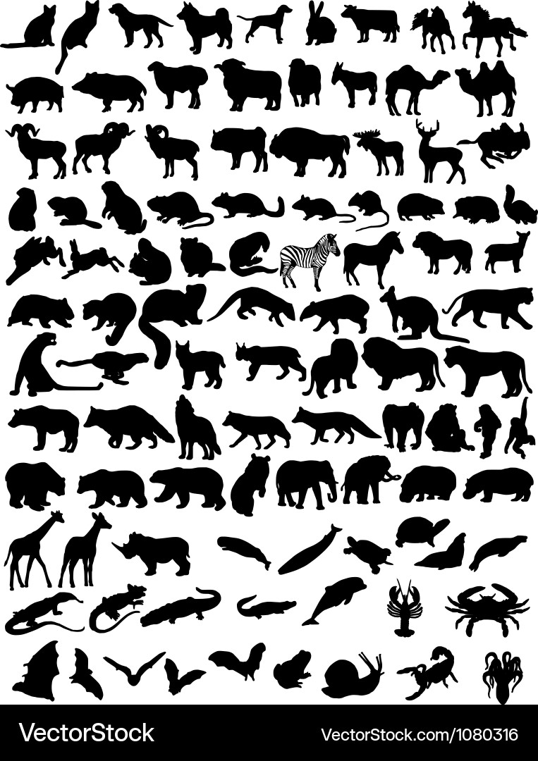 Rabbit and Tortoise Vector Images (over 690)