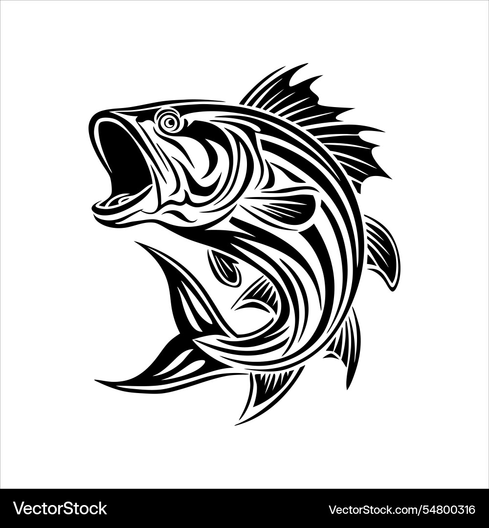 Bass fish isolated Royalty Free Vector Image - VectorStock