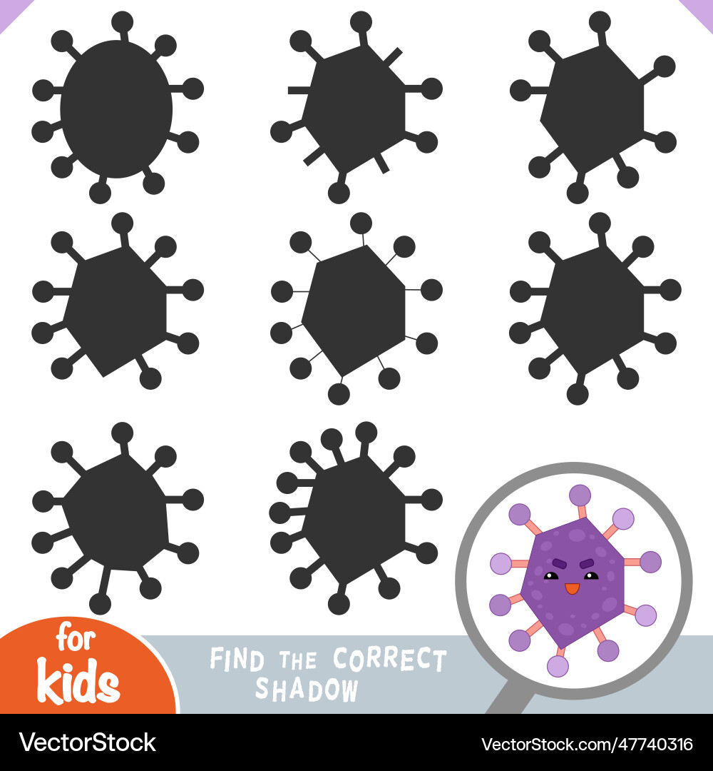 Find the correct shadow game for children cute Vector Image