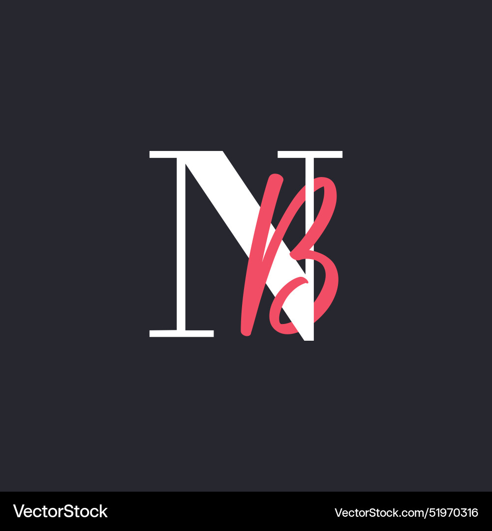 Letter nb logo perfectly blended initials Vector Image