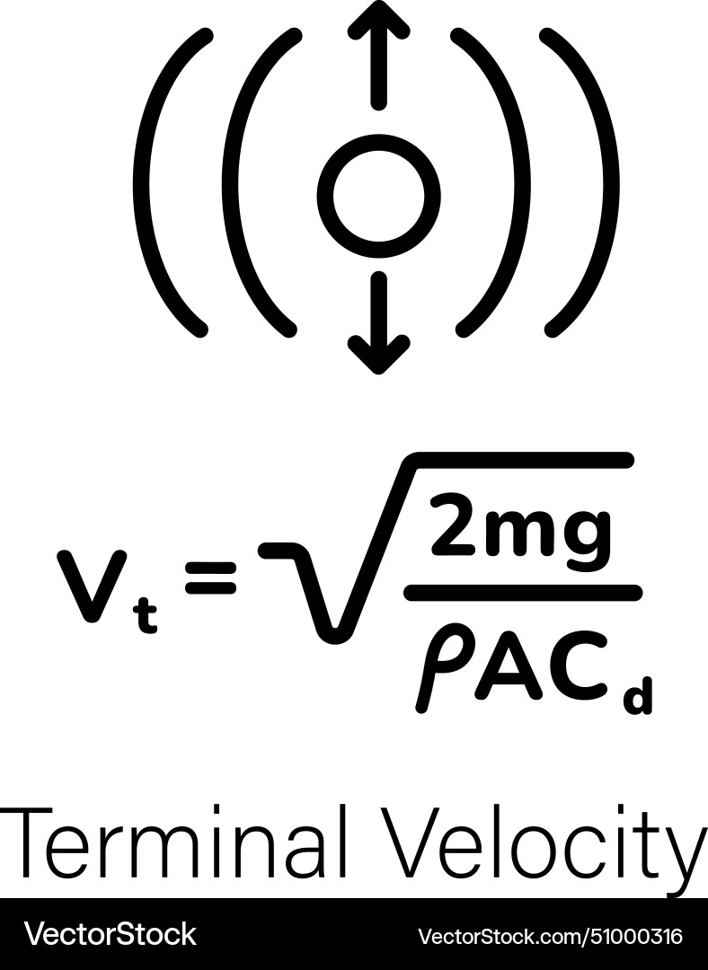 Terminal velocity Royalty Free Vector Image - VectorStock