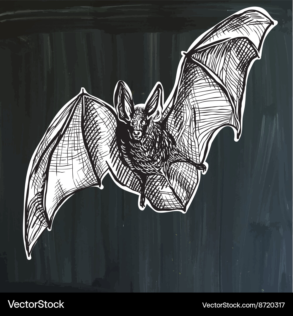 Bat - freehand sketching Royalty Free Vector Image