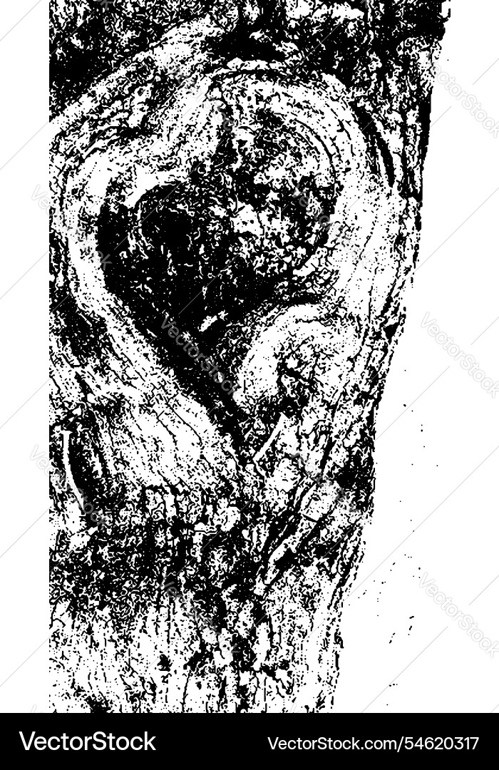 Black tree bark texture on a white Royalty Free Vector Image