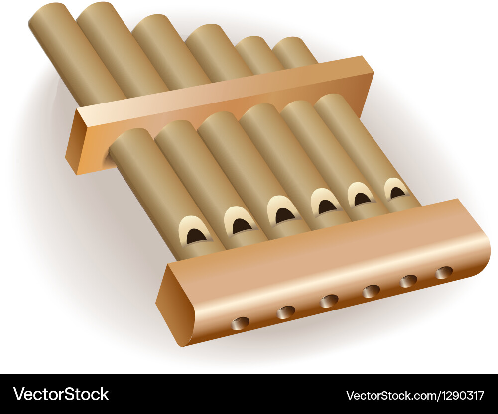 Classical bamboo pan flute Royalty Free Vector Image