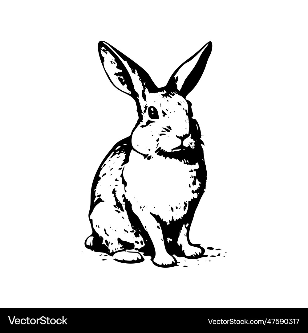 Rabbit drawing isolated hand drawn engraved style Vector Image