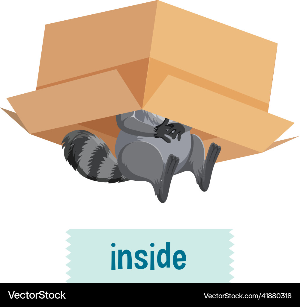 English prepositions with raccoon inside boxes Vector Image