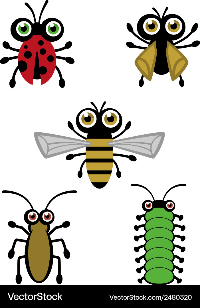 Cute little bugs Royalty Free Vector Image - VectorStock