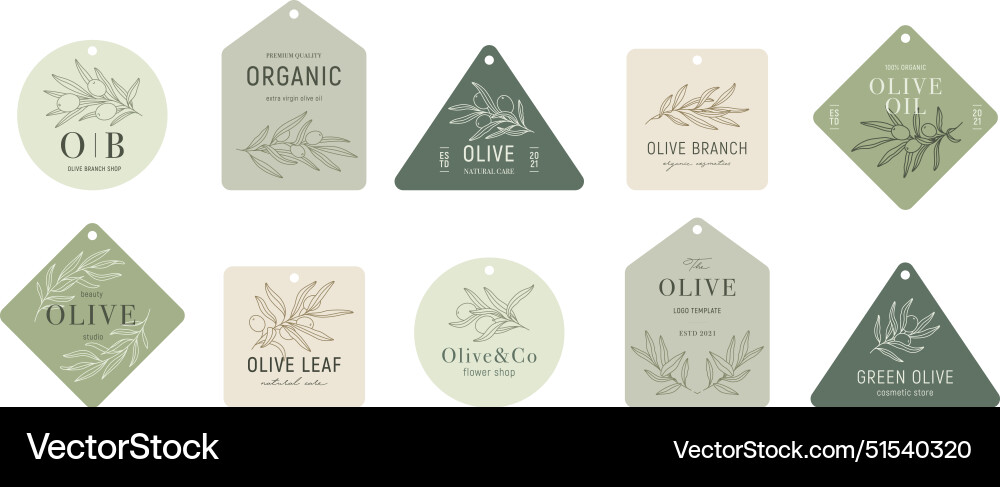 Olive labels with olive branches on color Vector Image