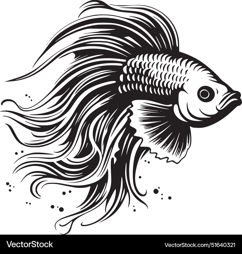 Betta fish - black and white Royalty Free Vector Image