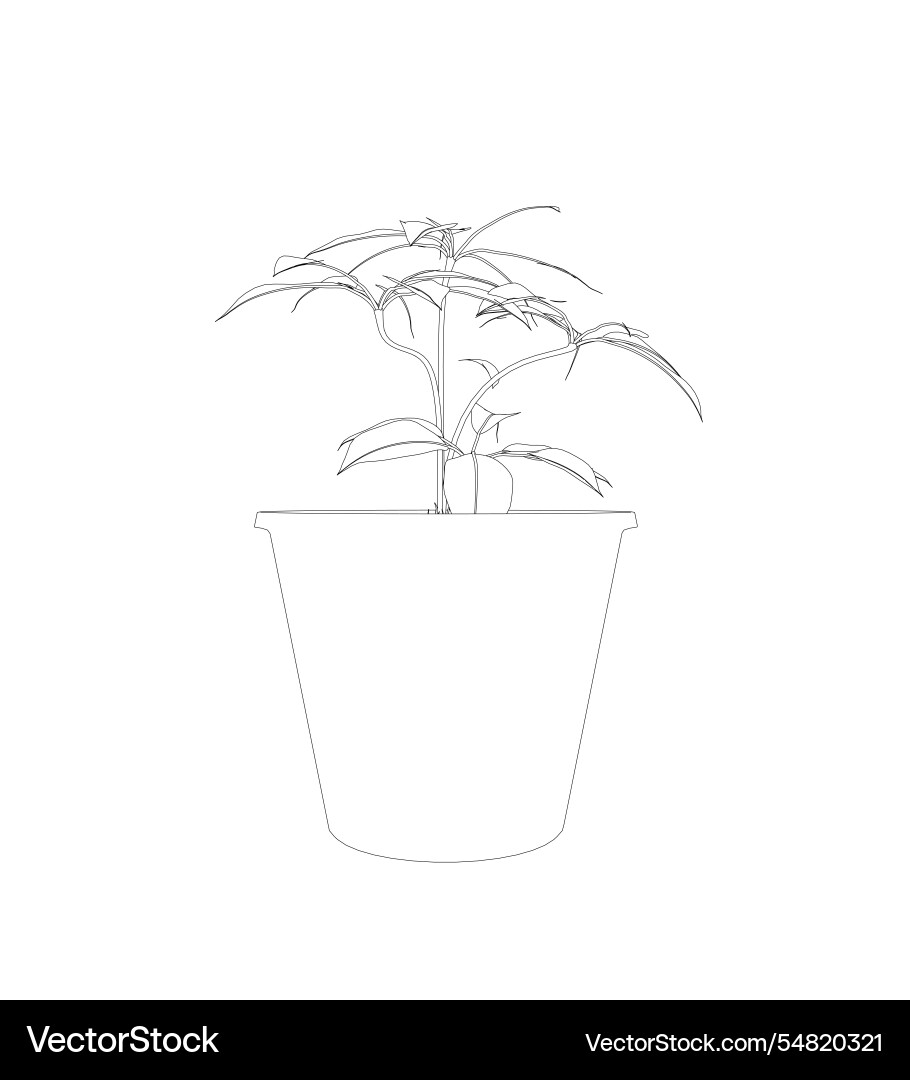 Plant in flower pot outline line solid and filled Vector Image