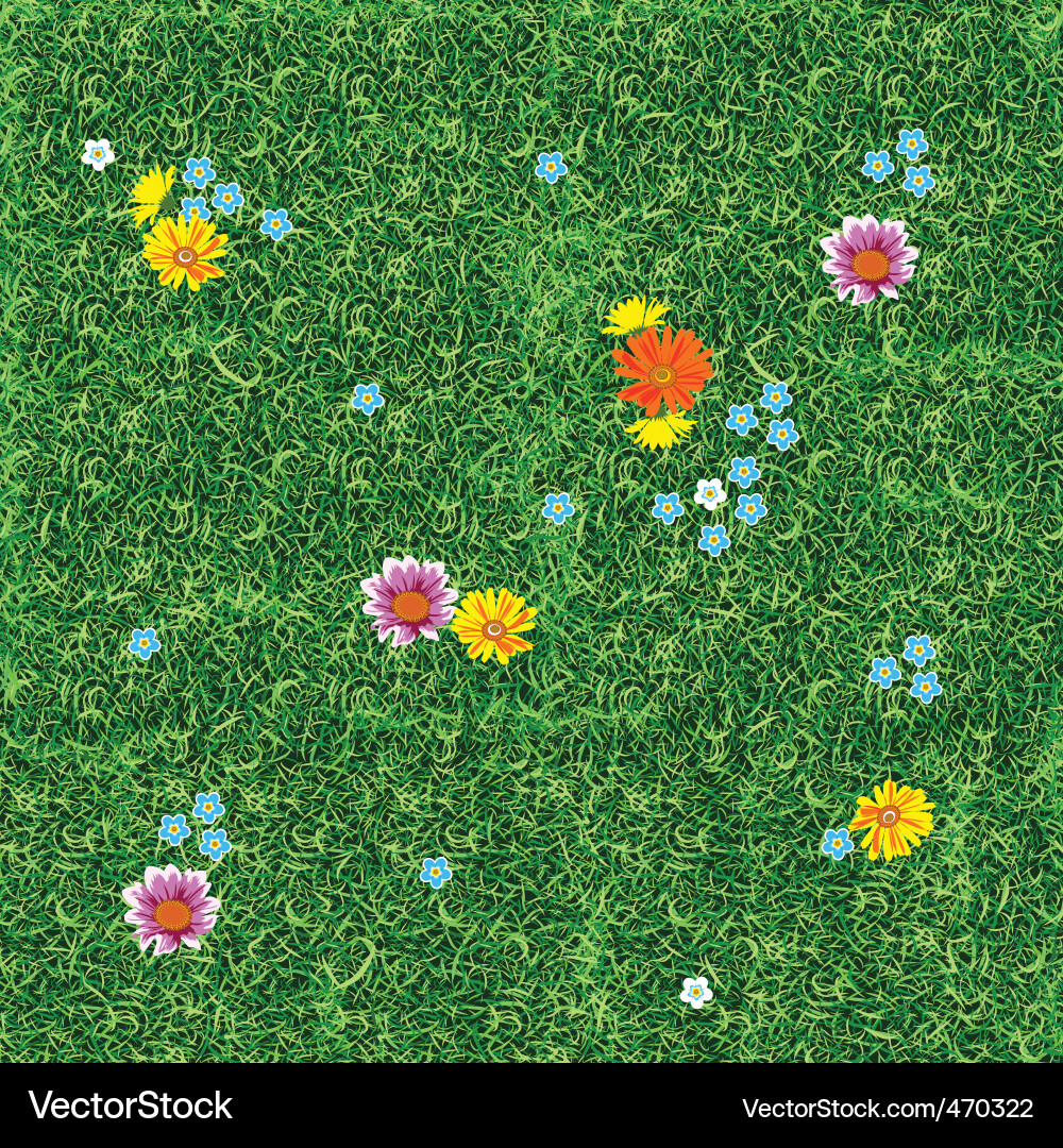 Lawn seamless Royalty Free Vector Image - VectorStock