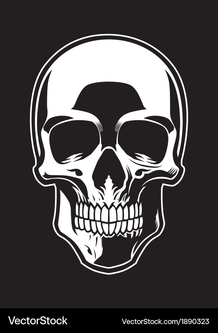 Detailed Skull Illustration Royalty Free Vector Image