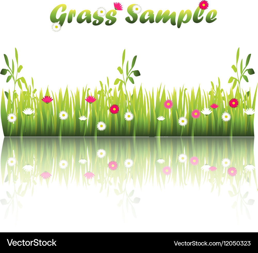Grass with flowers Royalty Free Vector Image - VectorStock