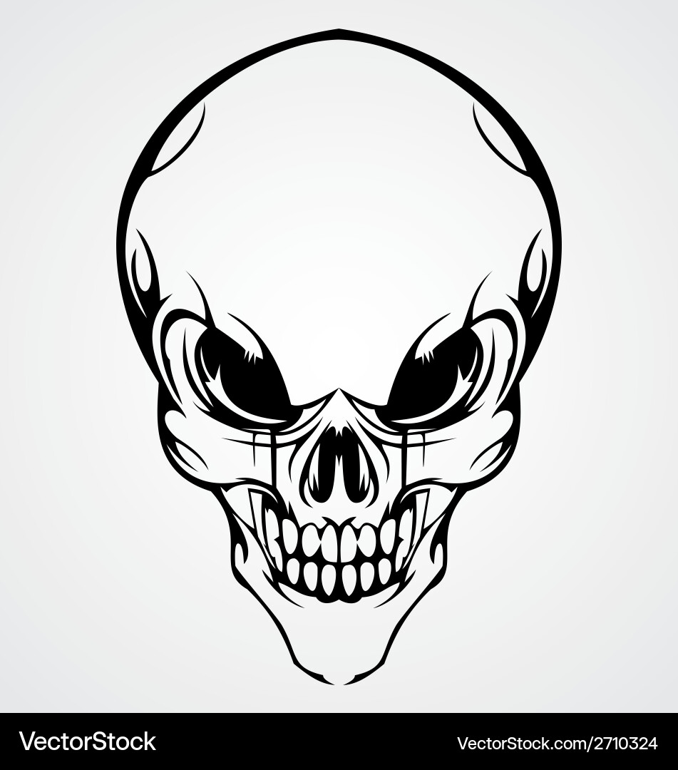 Abstract skull face Royalty Free Vector Image - VectorStock