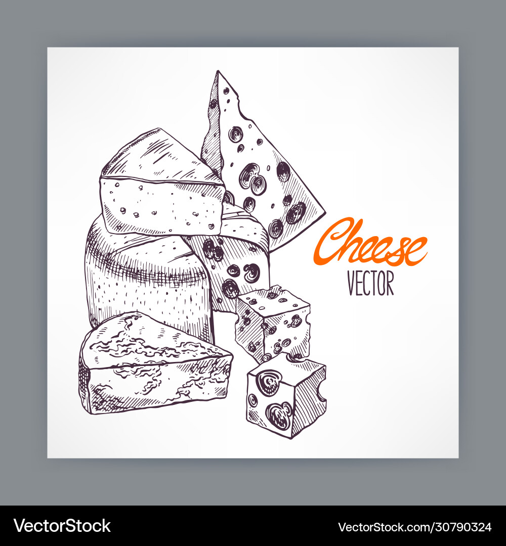 Background with sketch cheeses Royalty Free Vector Image