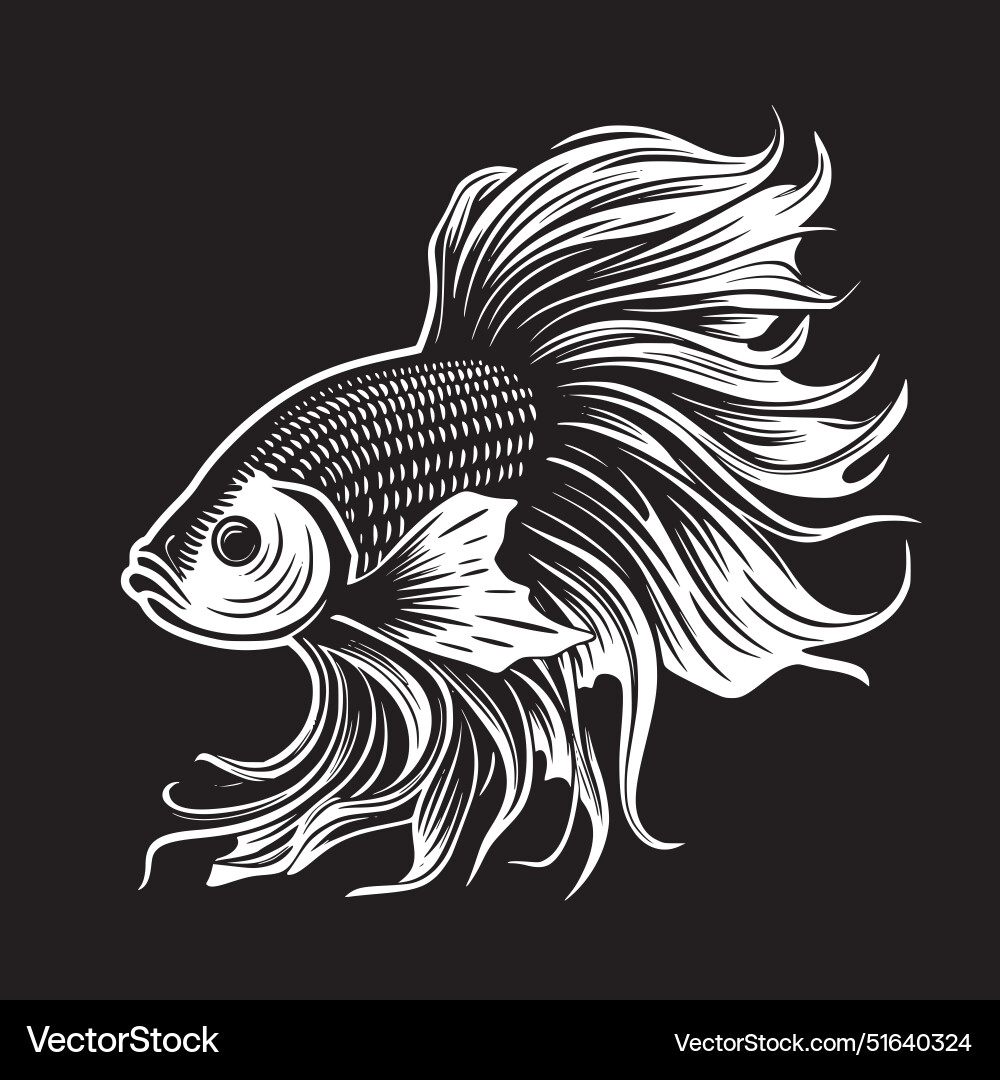 Betta fish - black and white Royalty Free Vector Image