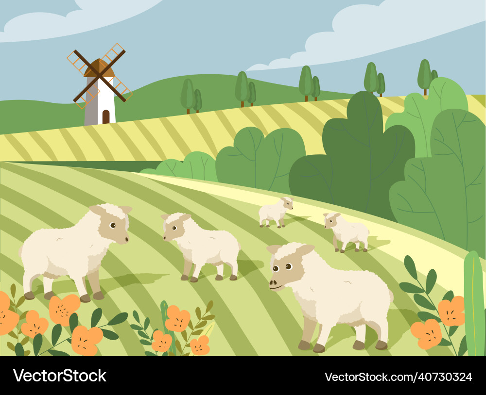 Livestock of sheep Royalty Free Vector Image - VectorStock