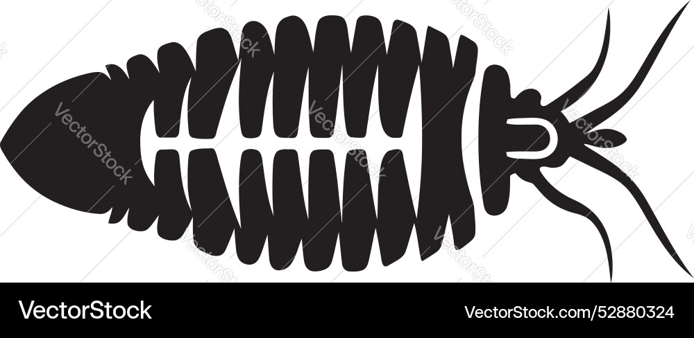 Sleek silverfish insignia midnight marine marvel Vector Image