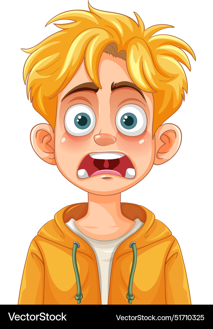 A boy with a shocked expression Royalty Free Vector Image