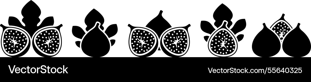 Fig Royalty Free Vector Image - VectorStock