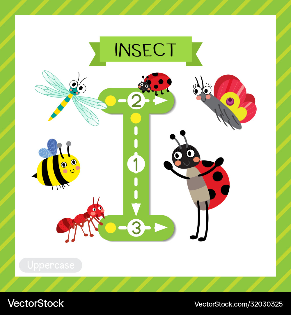 Letter i uppercase tracing insects Royalty Free Vector Image