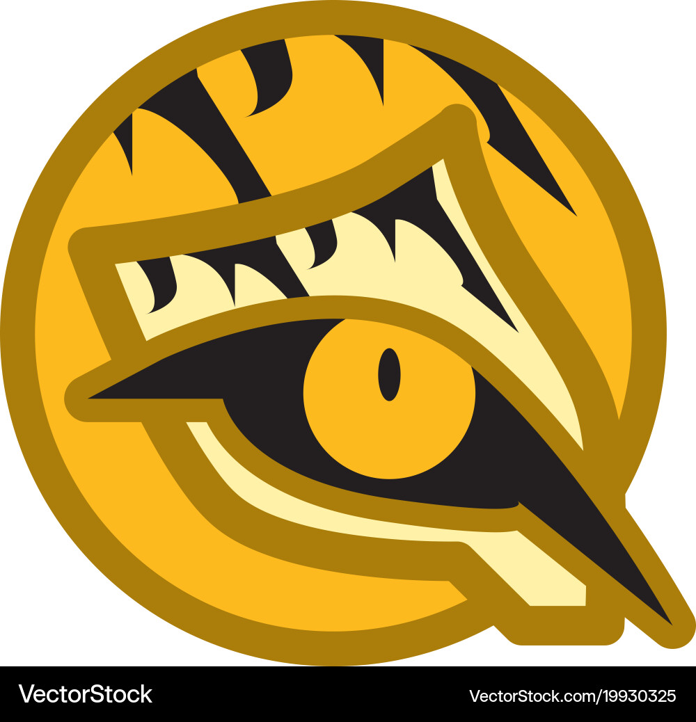 Tiger eye logo Royalty Free Vector Image - VectorStock