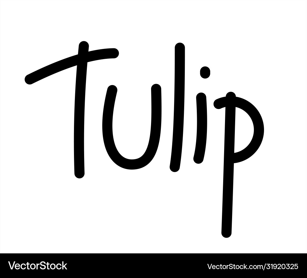 Tulip handwritten word lettering image isolated Vector Image