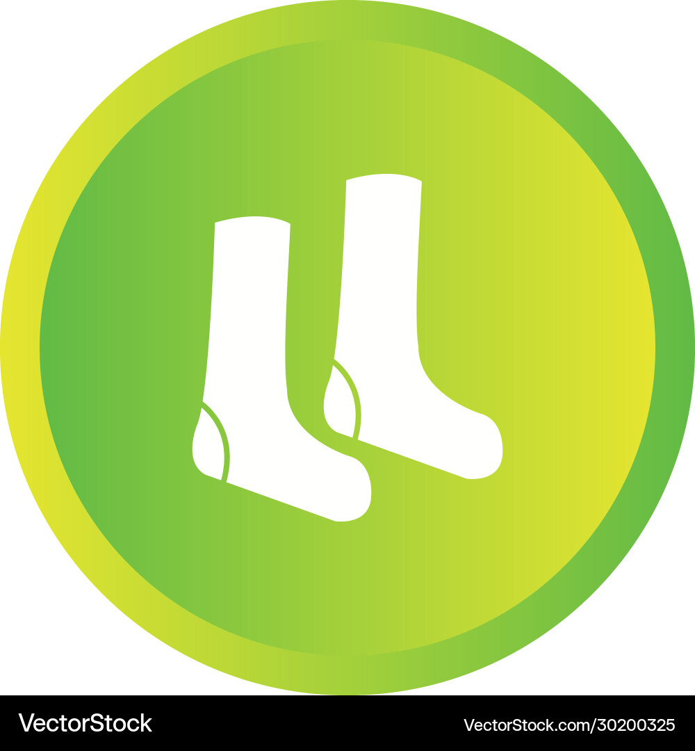 Unique socks glyph icon Royalty Free Vector Image