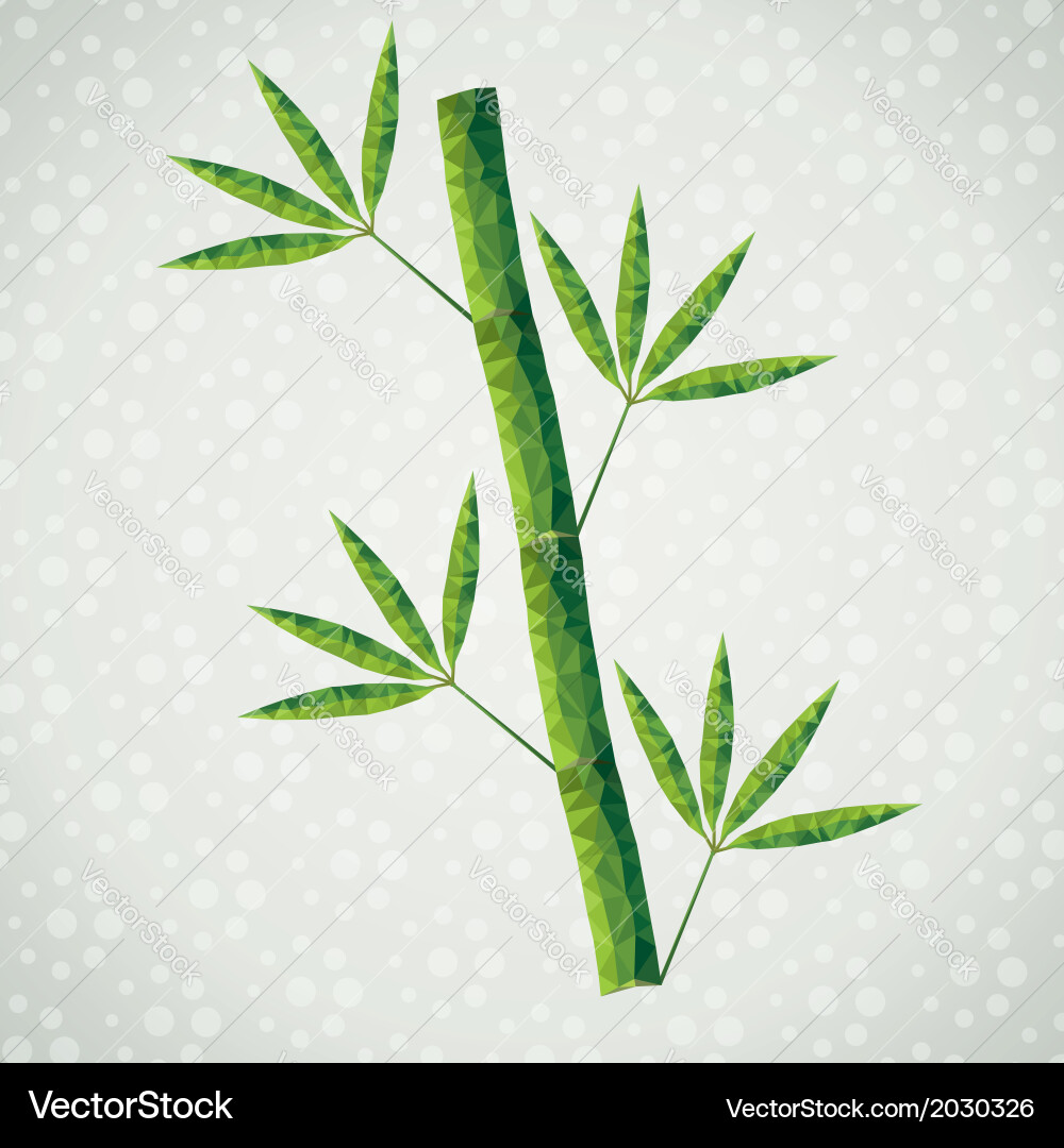 Bamboo branch Royalty Free Vector Image - VectorStock