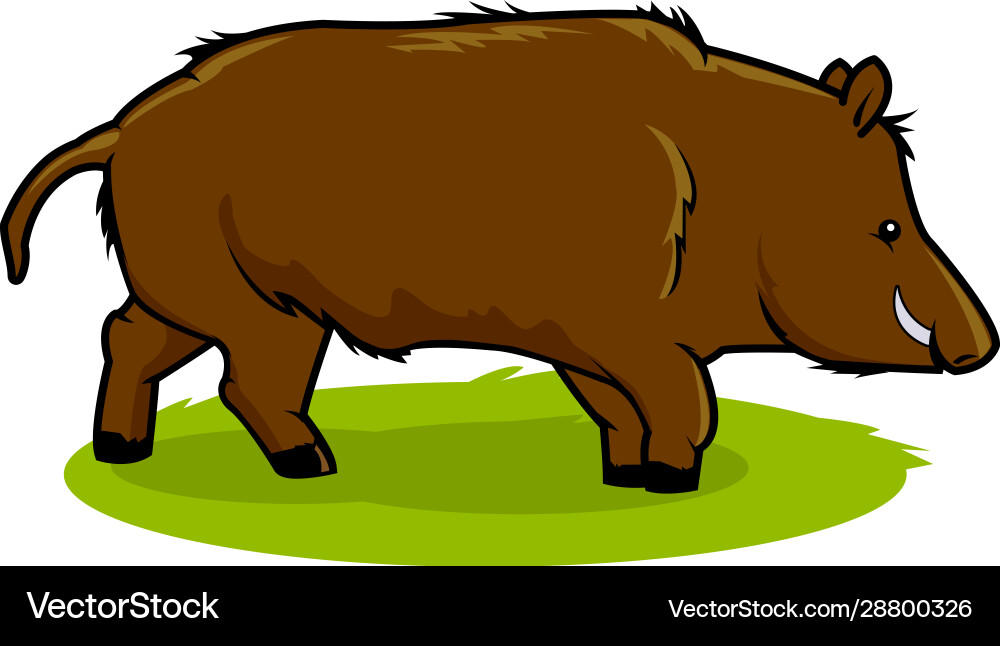 Wild boar Royalty Free Vector Image - VectorStock