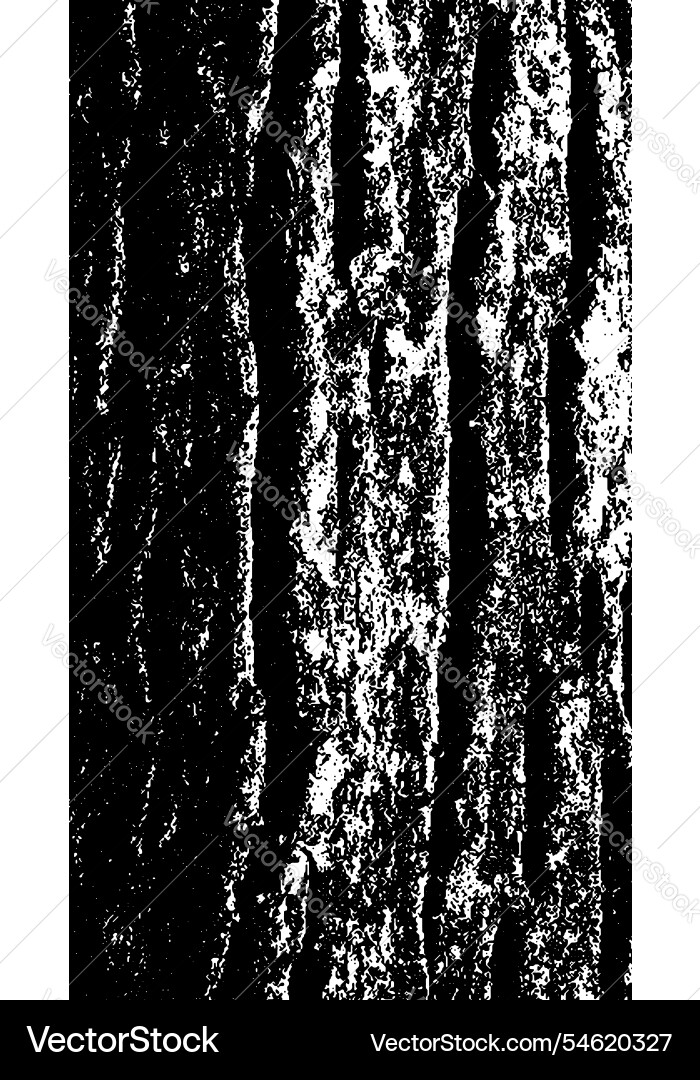 Black tree bark texture on a white Royalty Free Vector Image