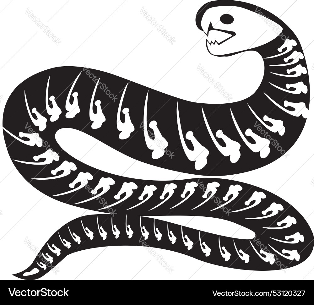 Silhouette aggressive snake roentgen skeleton bone