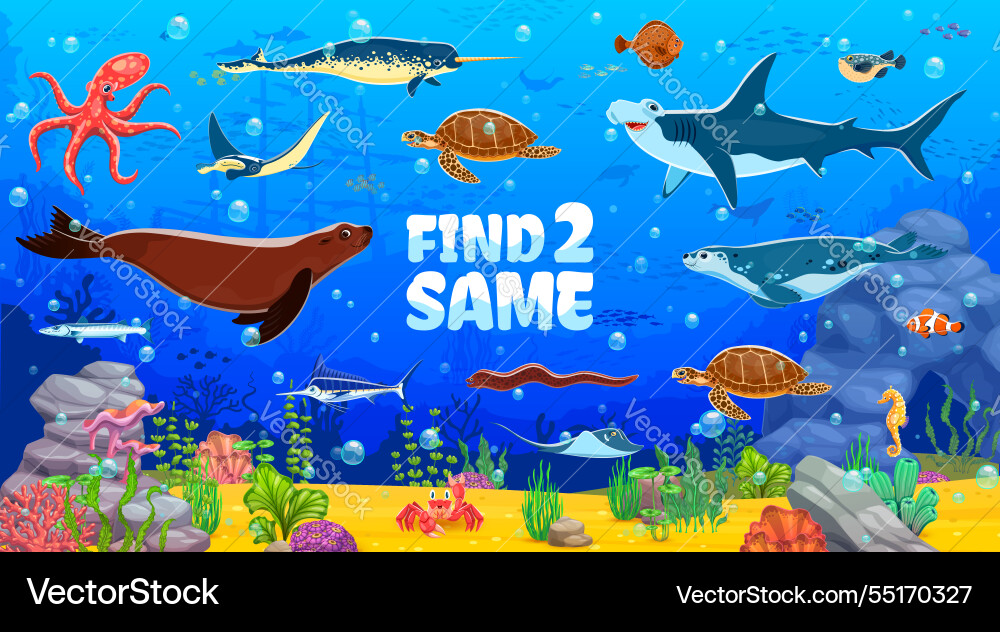 Underwater Animal Search Game Royalty Free Vector Image