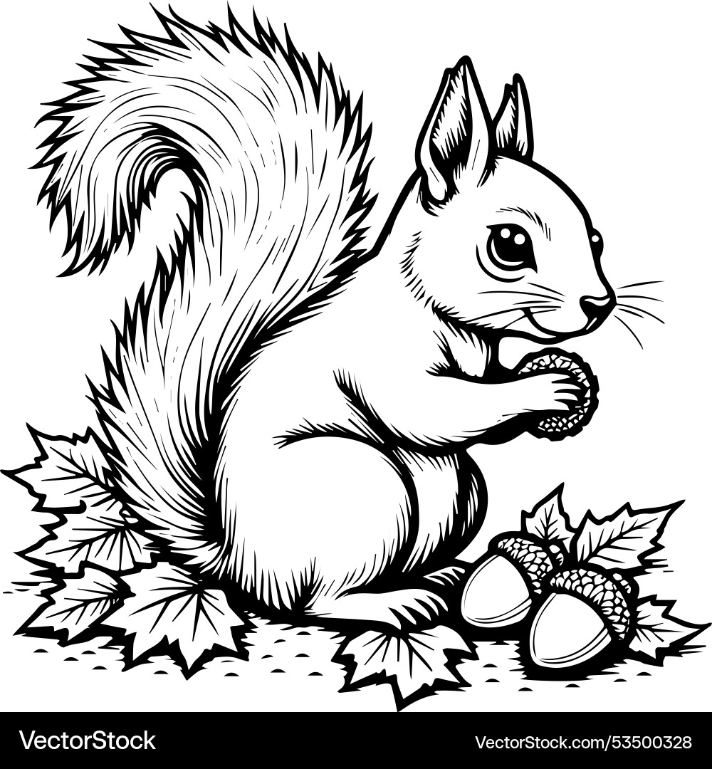 Adorable Acorn & Squirrel Art Royalty Free Vector Image