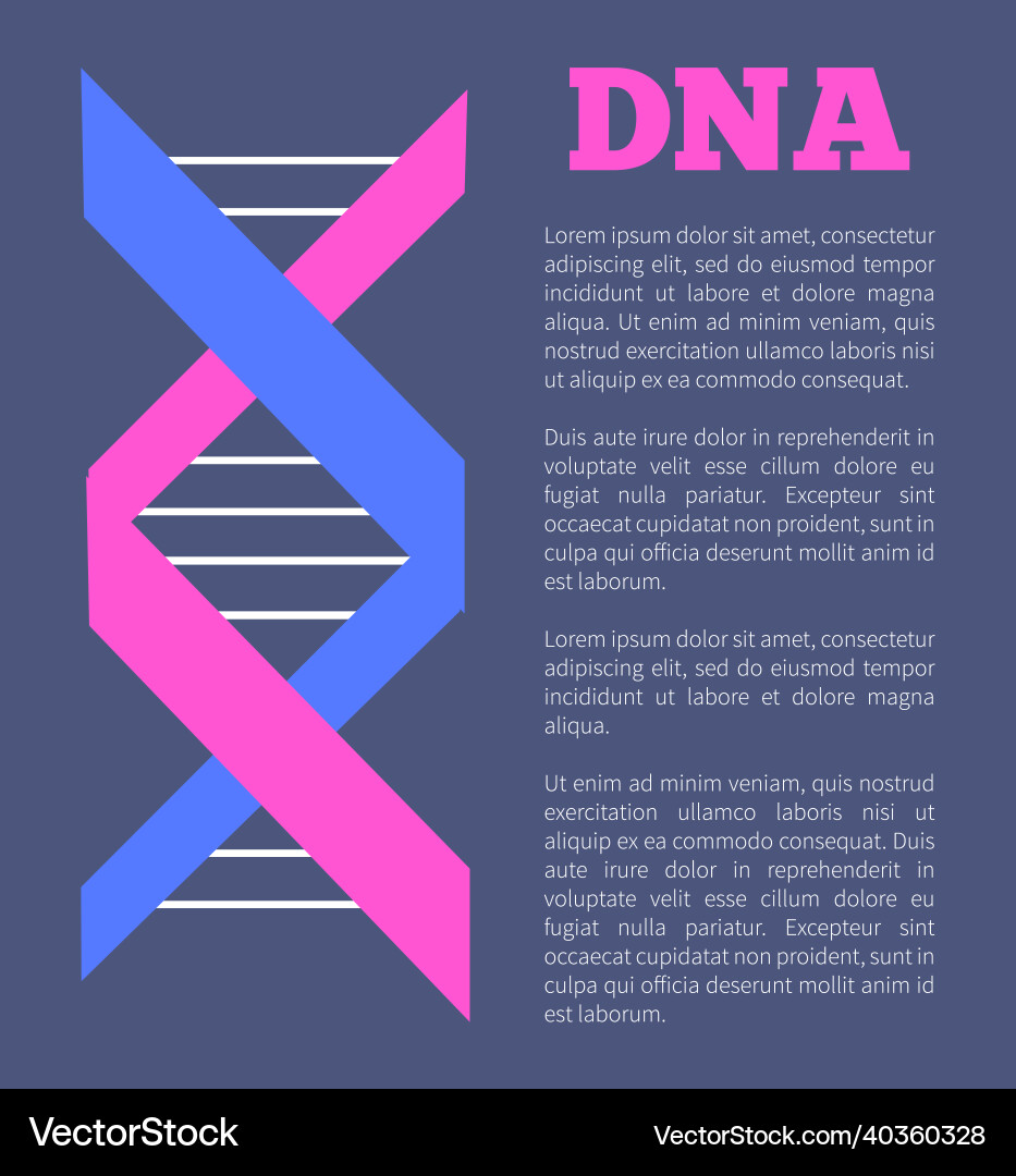 Dna deoxyribonucle acid chain nucleotides poster Vektorbild