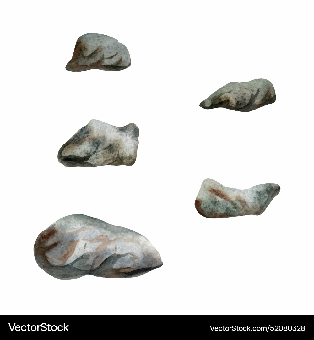 Hand drawn watercolor aquarium rocks stones Vector Image