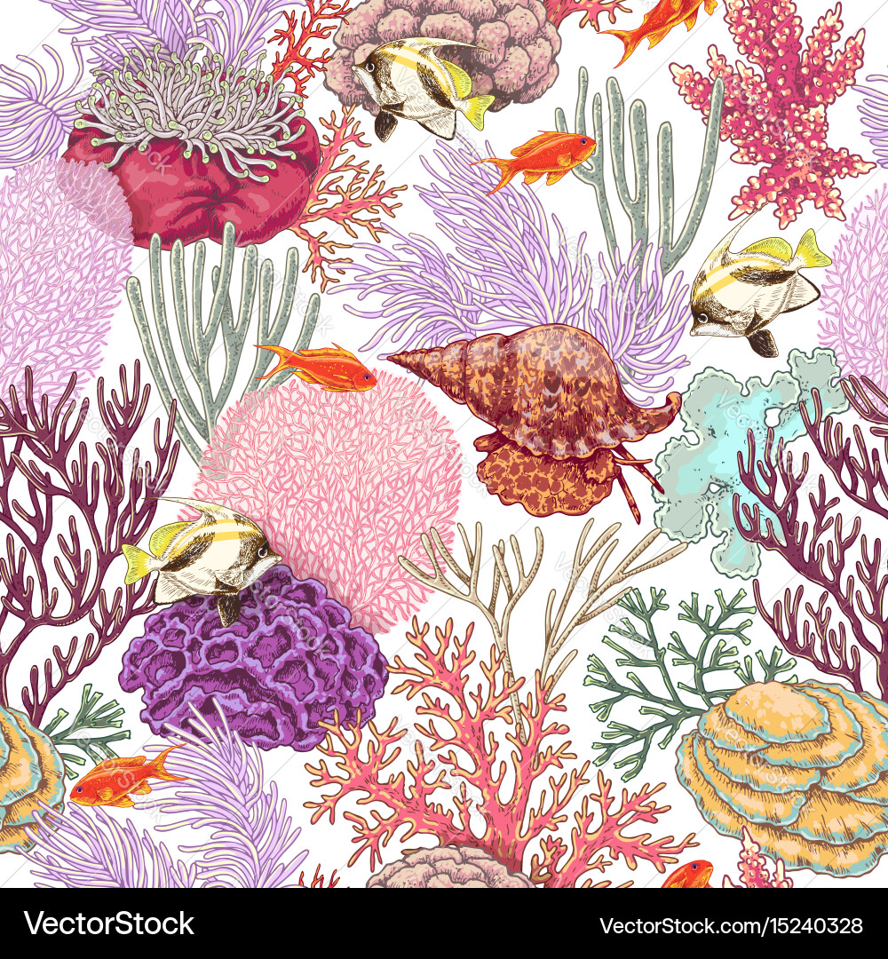 Underwater Coral Reef Pattern Royalty Free Vector Image