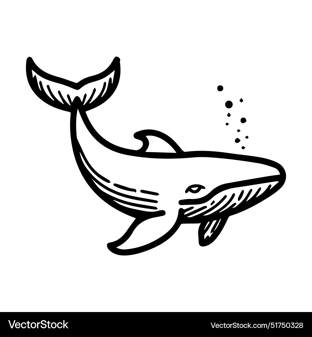 Whale icon or modern line symbol art Royalty Free Vector