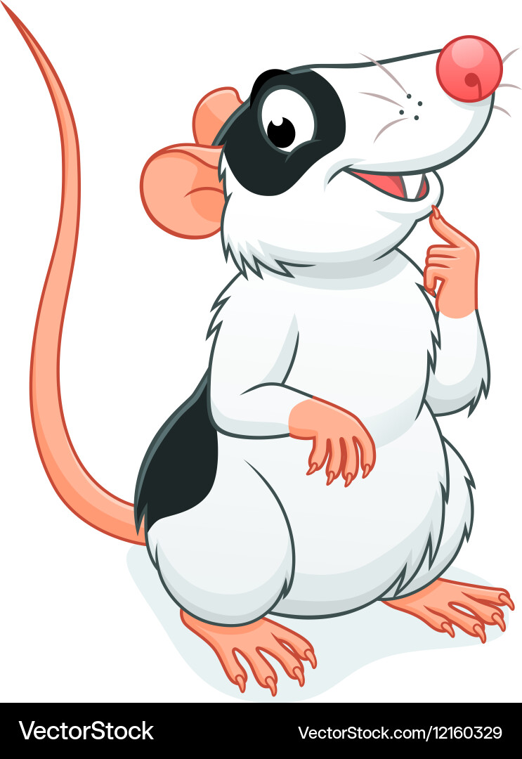 Cute rat pet Royalty Free Vector Image - VectorStock