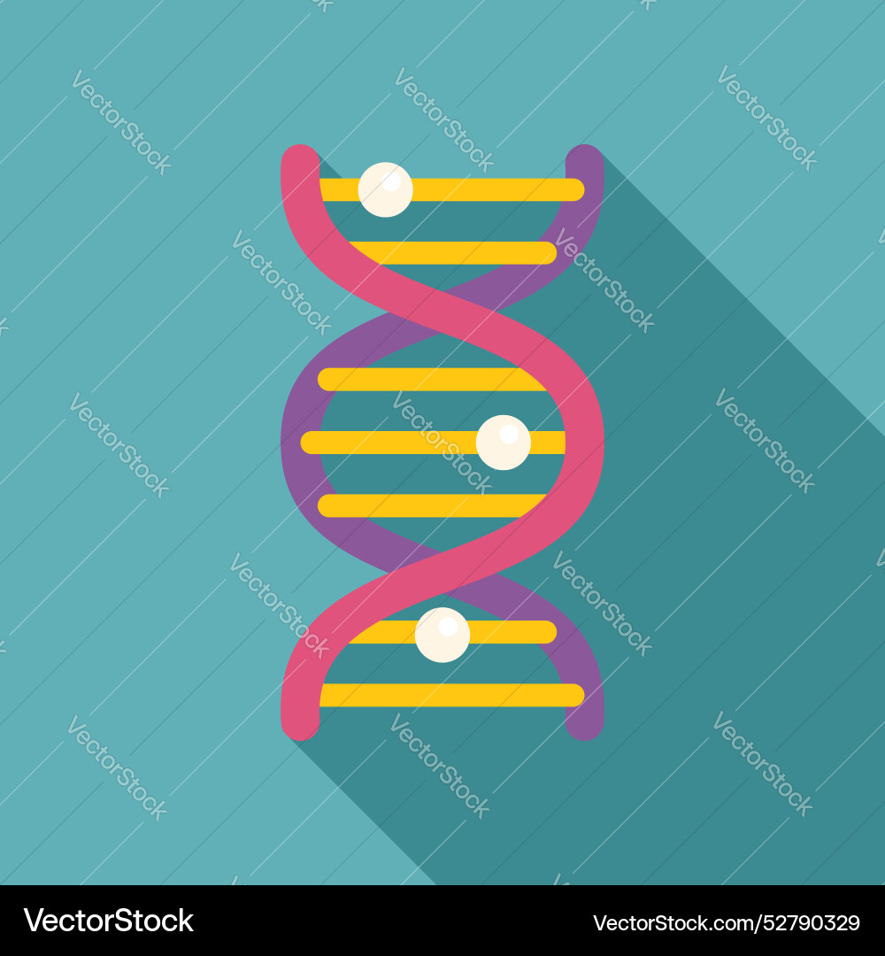 Dna double helix structure forming with long Vector Image