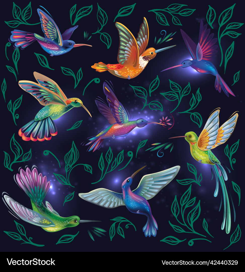 Set with hummingbirds magic colibri Royalty Free Vector