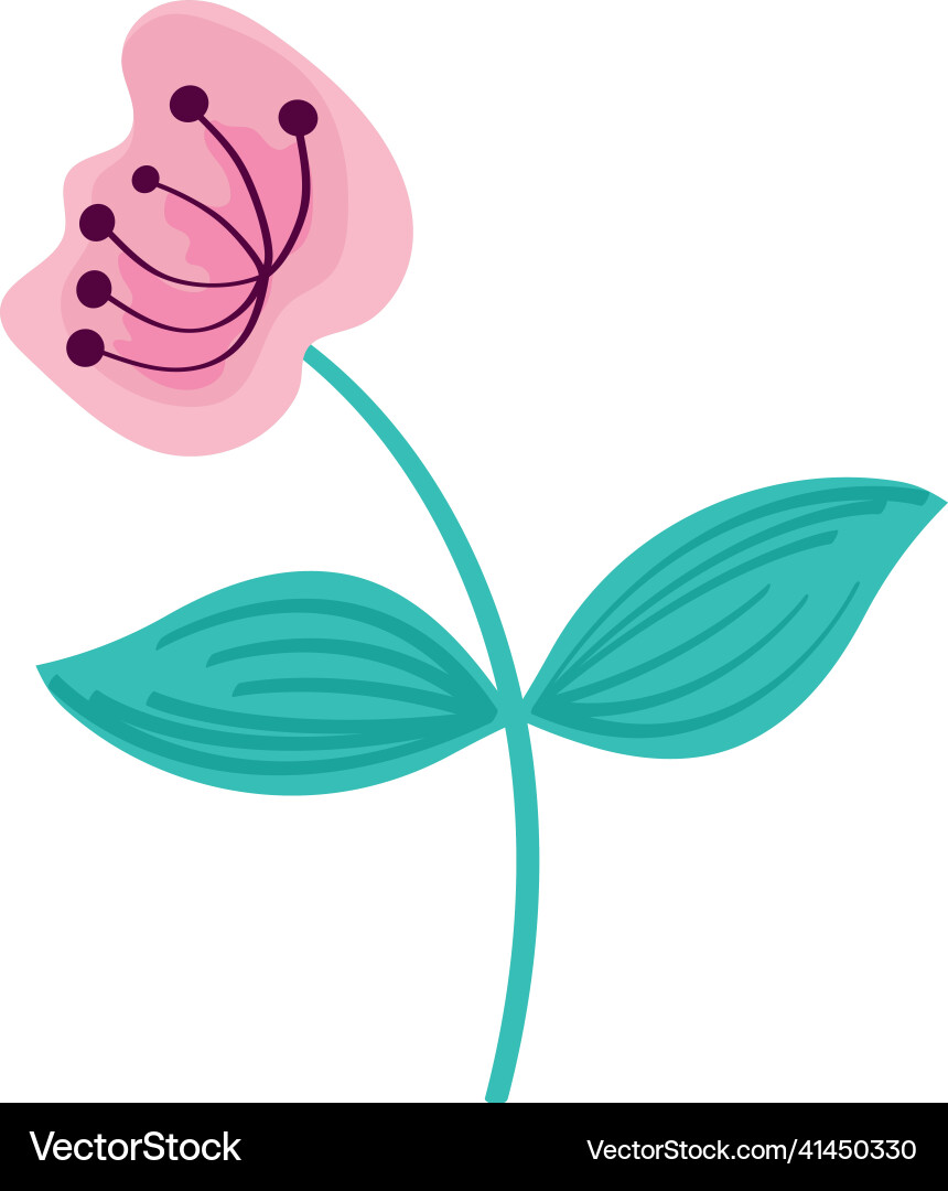 Flower with branch and leaves Royalty Free Vector Image
