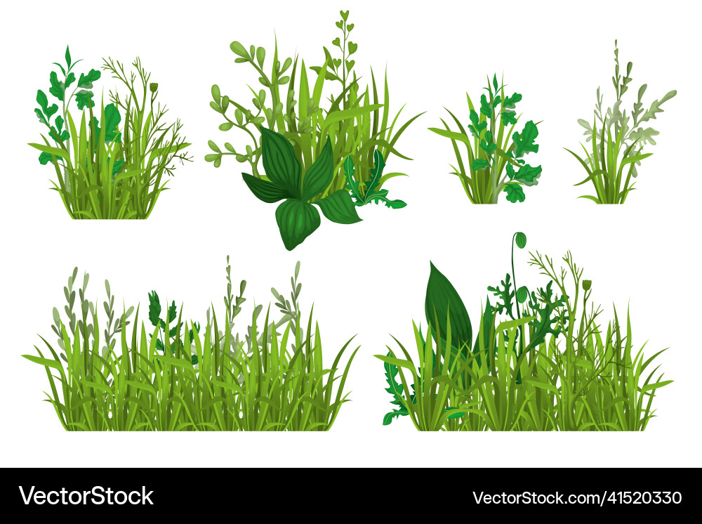 Green grass realistic set Royalty Free Vector Image